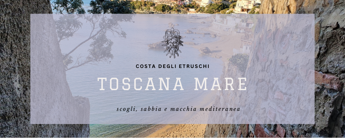 Toscana Mare: Spiagge, Borghi e Cultura della Costa Toscana